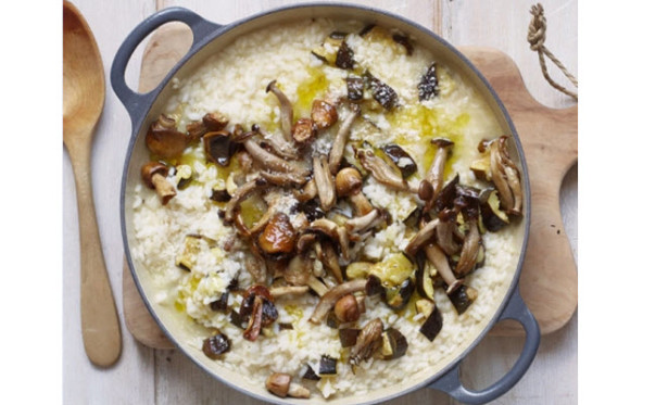Mushroom pasta with haloumi & walnuts. #drizzleofcream – The FiFi Report